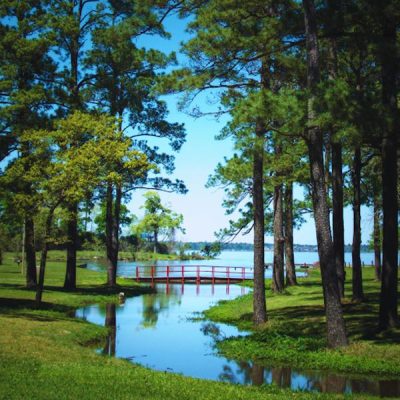 Lake Houston Wilderness Park: The Top Fishing Spots at Fishing Lake ...