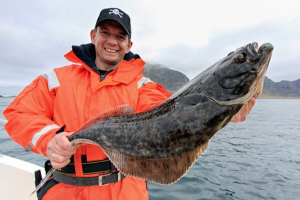 Types of Flatfish in Deepest Oceans: Flounders, Soles, Turbots and ...